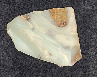 Lapidary Slabs, Rock Slab, Turritella - Etsy