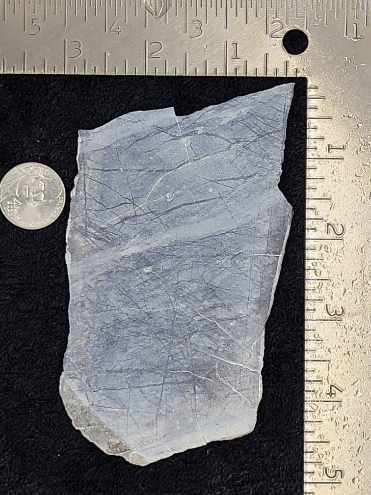 Picasso Marble Lapidary Slabs Rock Slab Utah Picasso Marble - Etsy