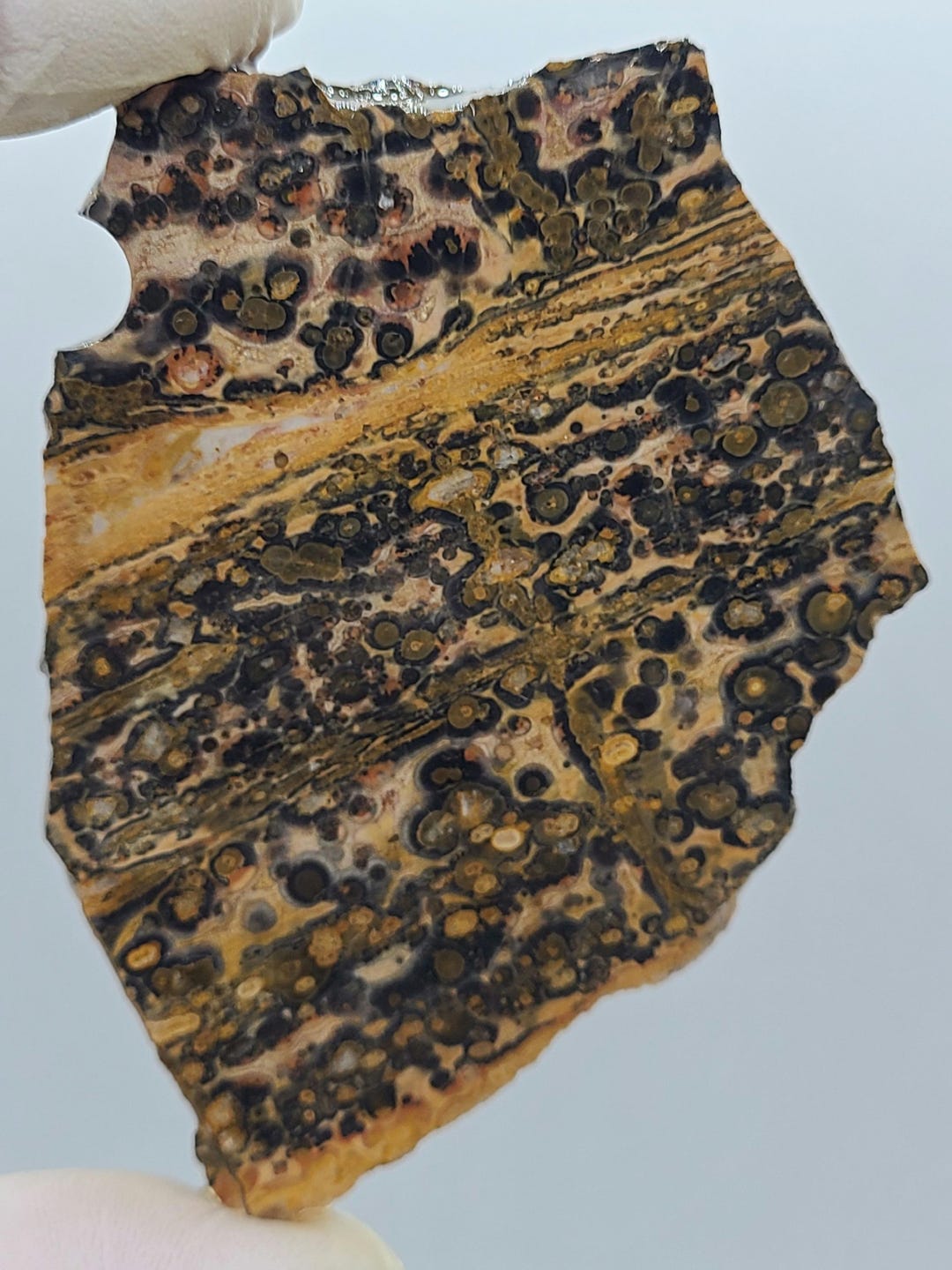 Leopard Skin Jasper, Lapidary Slabs, Rock Slab - Etsy
