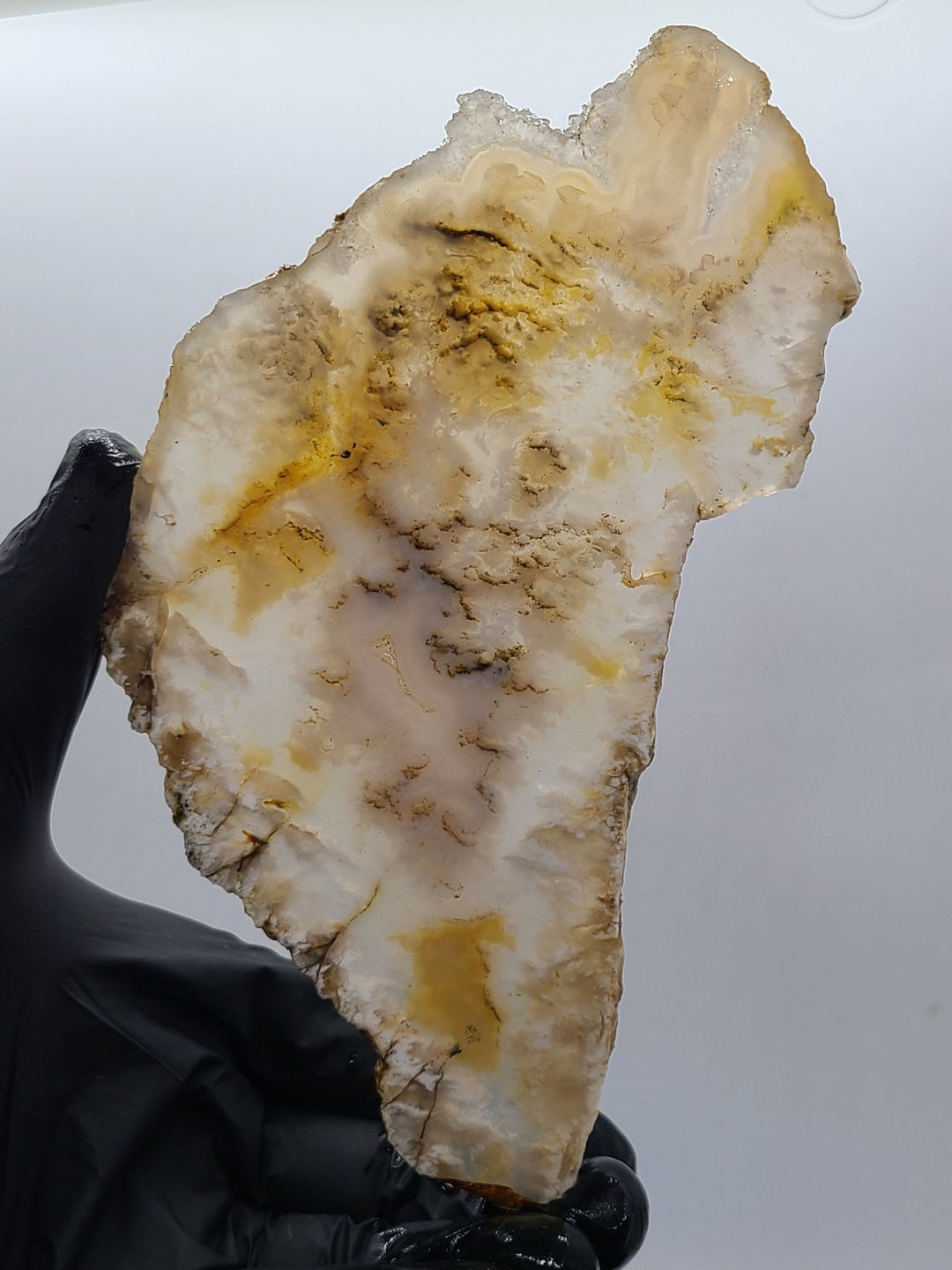 Grave Yard Point Plume Agate, Lapidary Slabs, Rock Slab, Agate - Etsy
