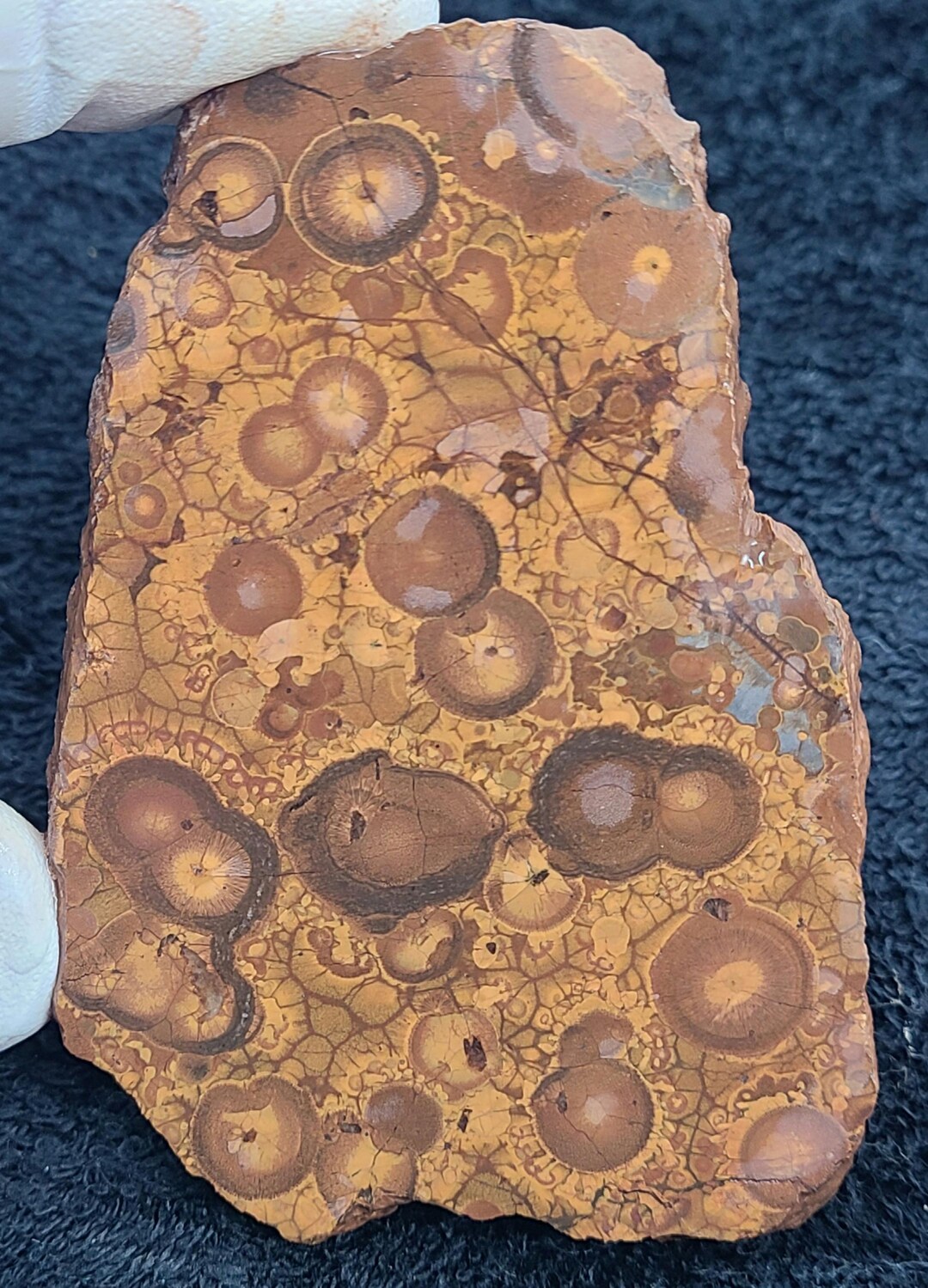 Birdseye Rhyolite, Lapidary Slabs, Rock Slab - Etsy