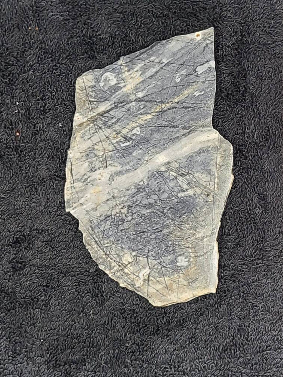 Picasso Marble, Lapidary Slabs, Rock Slab, Utah Picasso Marble - Etsy