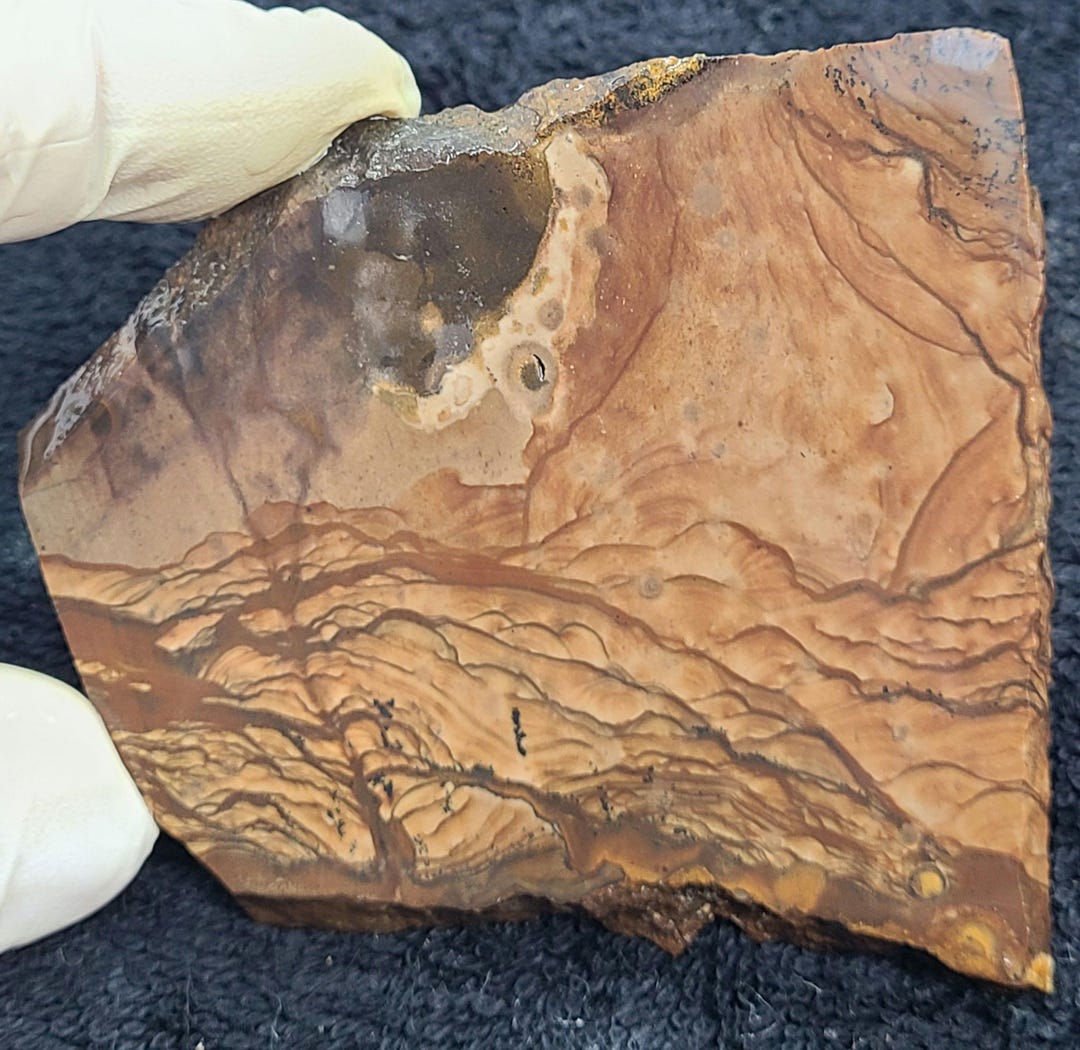 Biggs Jasper - Oregon, Lapidary Slabs, Rock Slab - Etsy