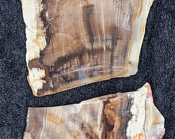 Lapidary Slabs, Rock Slab, Petrified Wood - Etsy