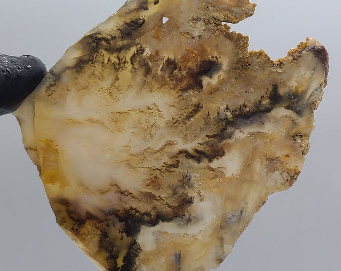 Plume Agate, Lapidary Slabs, Rock Slab, Graveyard Point Plume Agate - Etsy