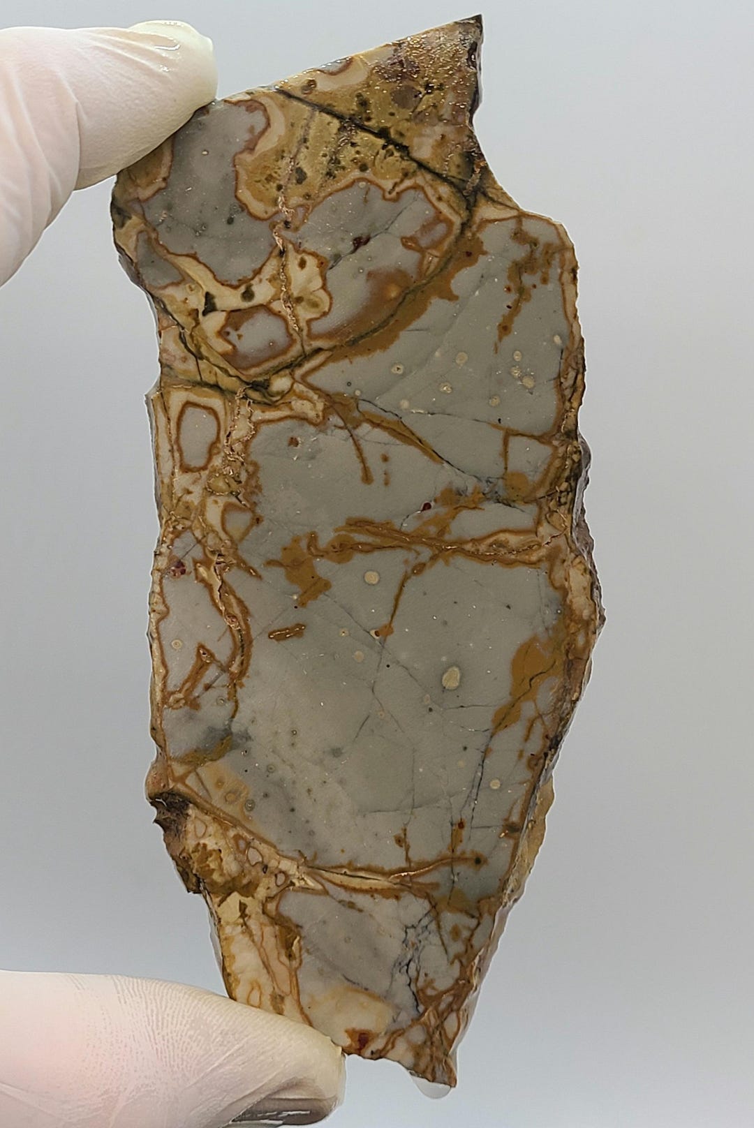 Jasper - Oregon, Lapidary Slabs, Rock Slab - Etsy