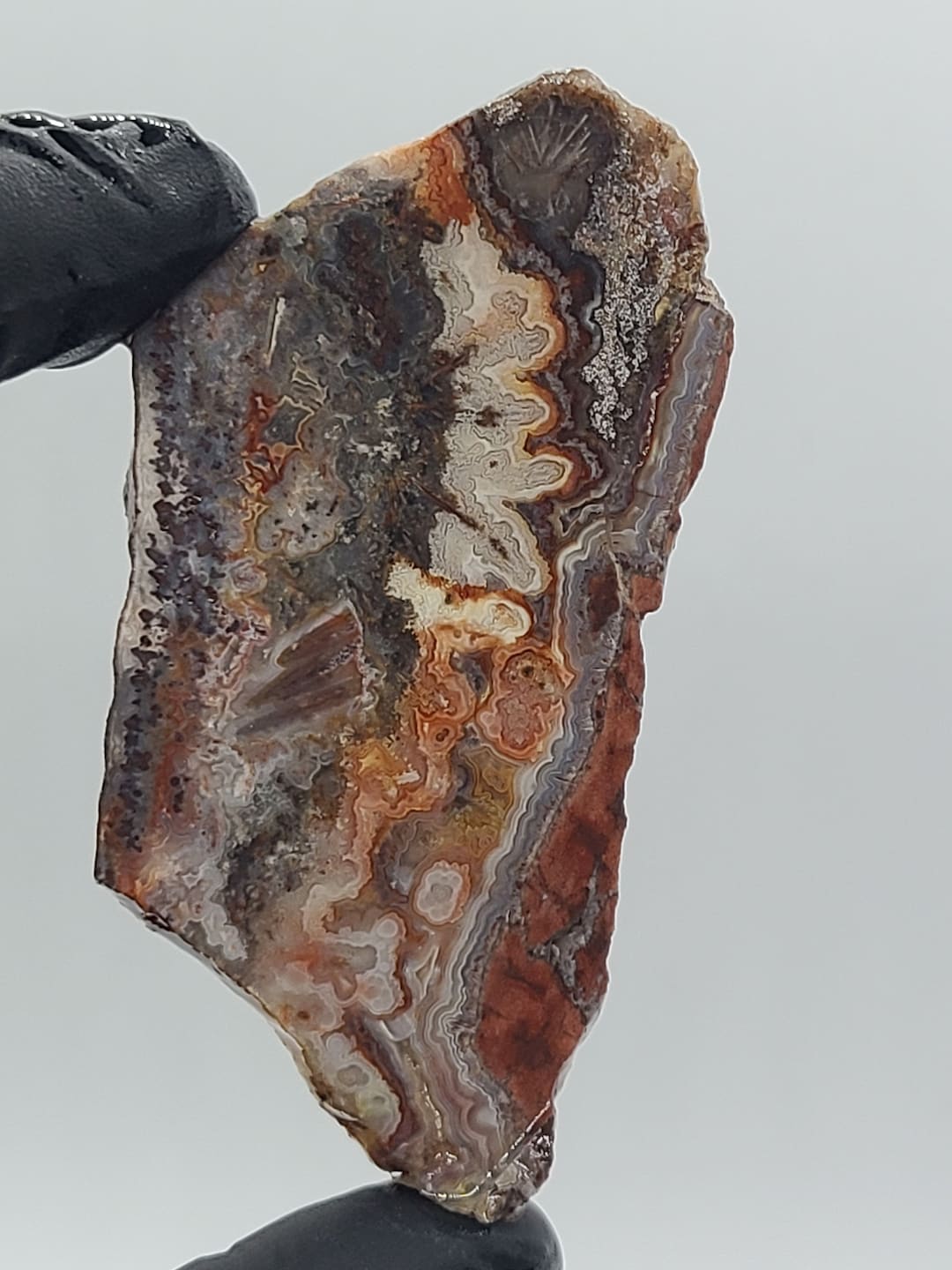 Crazy Lace, Lapidary Slabs, Rock Slab - Etsy