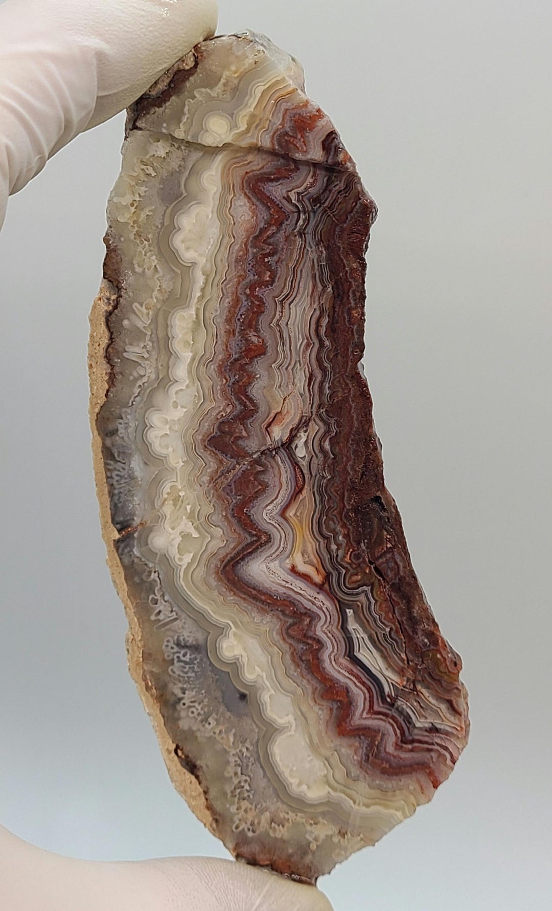 Crazy Lace, Lapidary Slabs, Rock Slab - Etsy