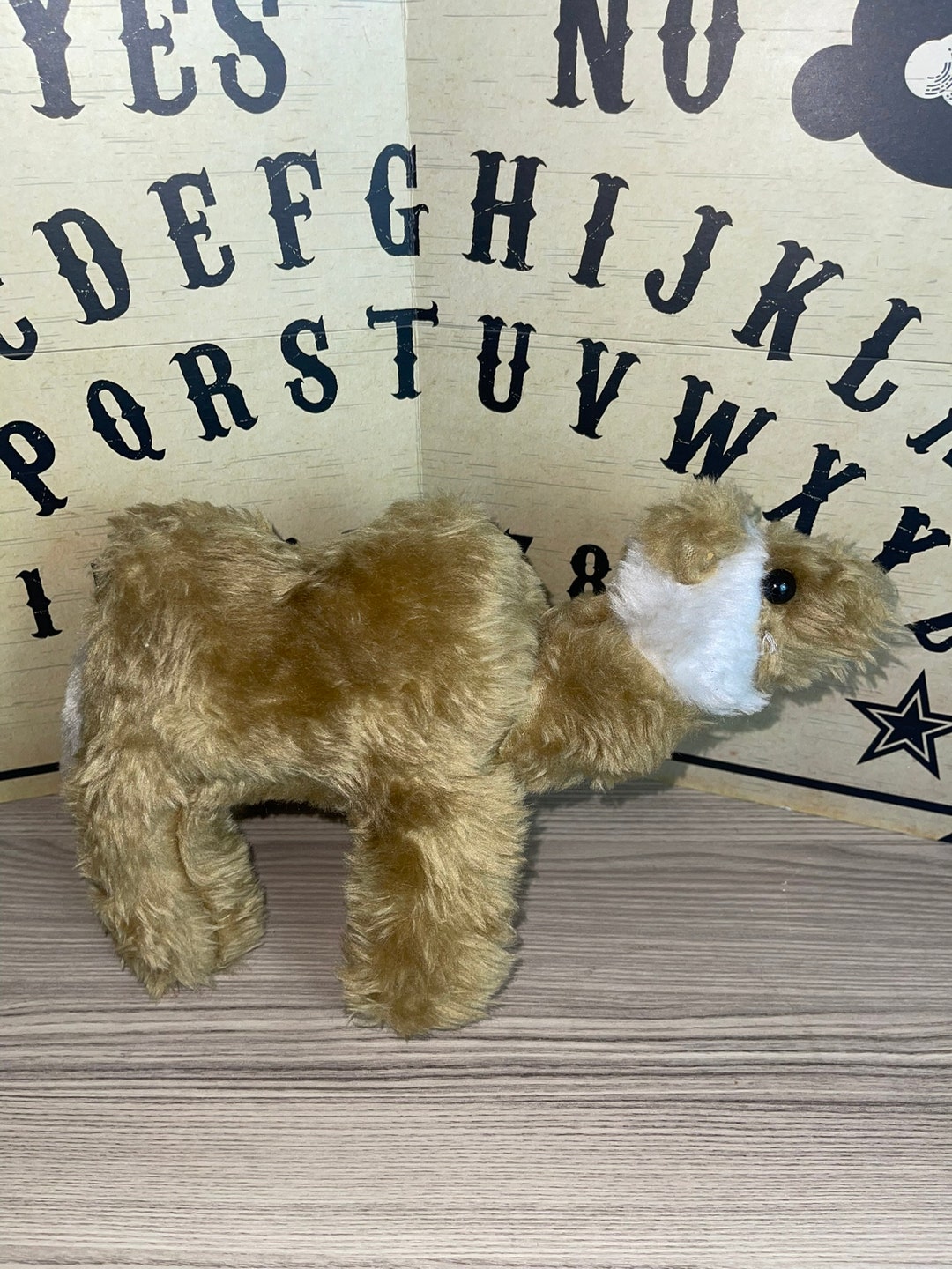 Haunted Teddy Bear Imani Positive Energy Haunted Doll Spirit Doll ...