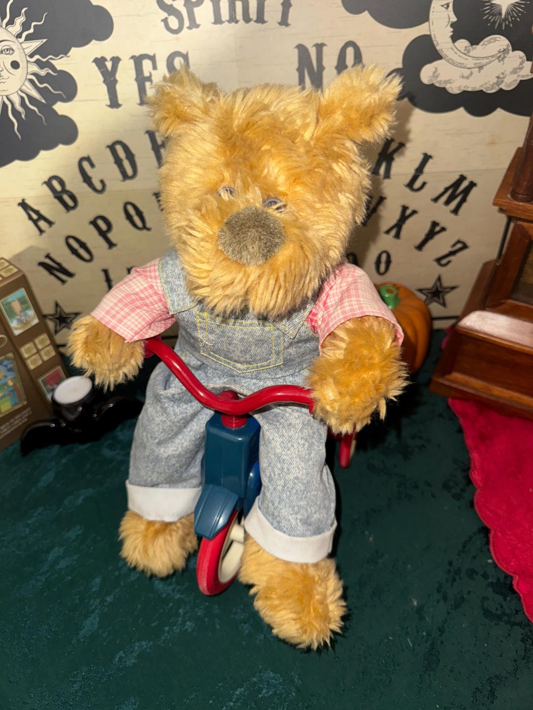 Haunted Teddy Bear | Timmy | Positive Energy Haunted Doll | Spirit Doll ...