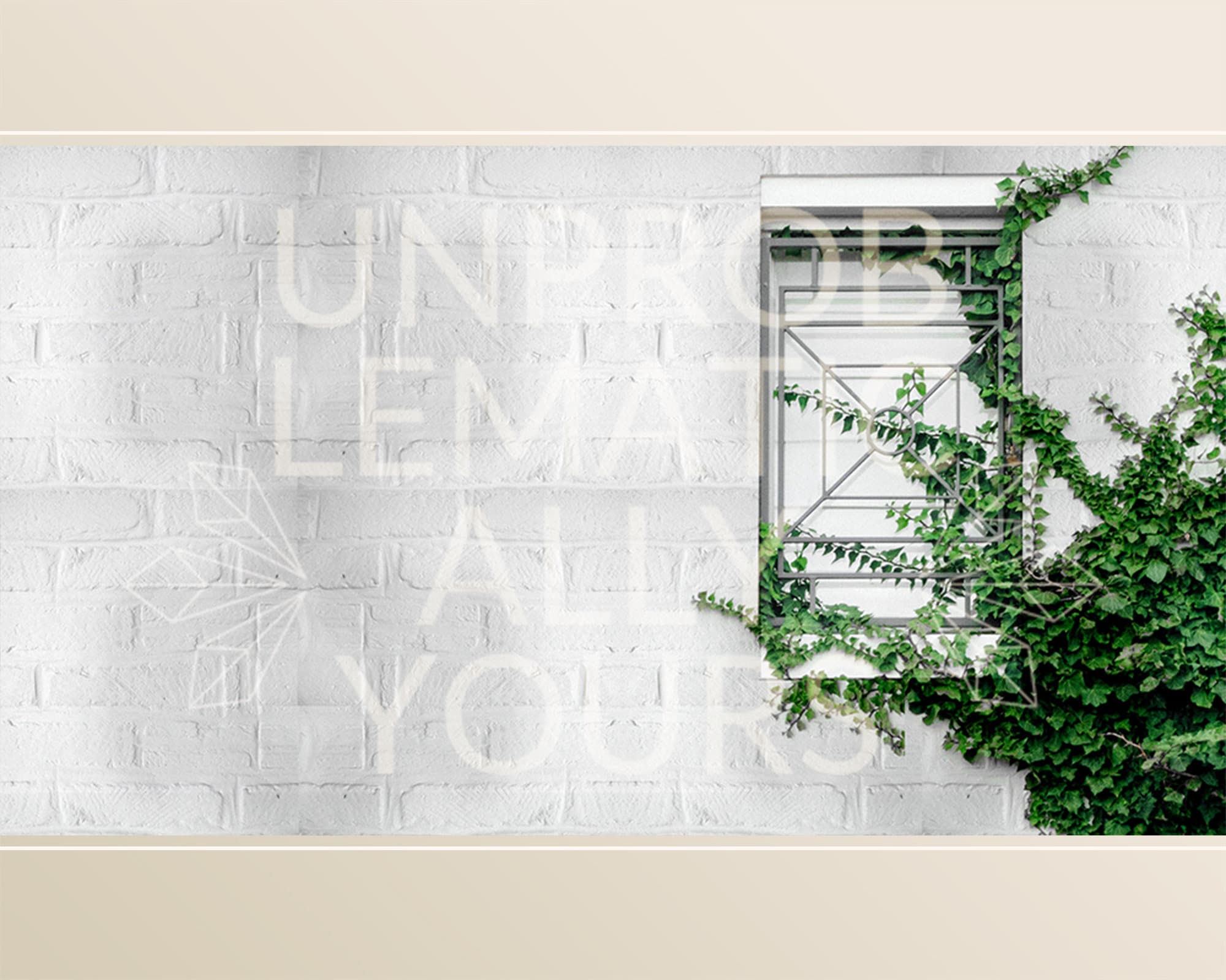 Zoom Backgrounds – Neutral Walls Set 1 – 4 High-resolution Backdrop ...