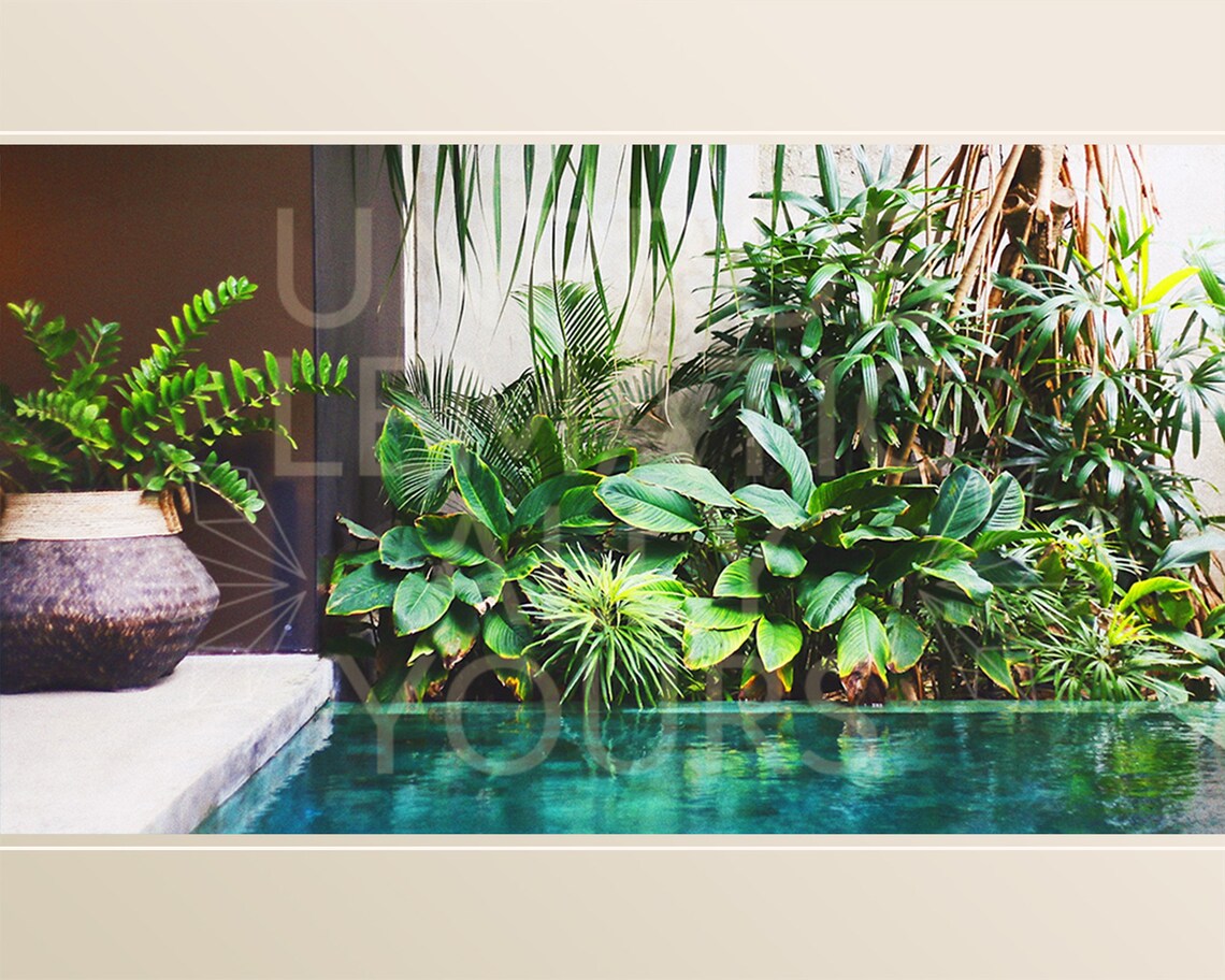 Zoom Backgrounds – Blissful Pools Set 2 – 5 High-resolution Backdrop ...