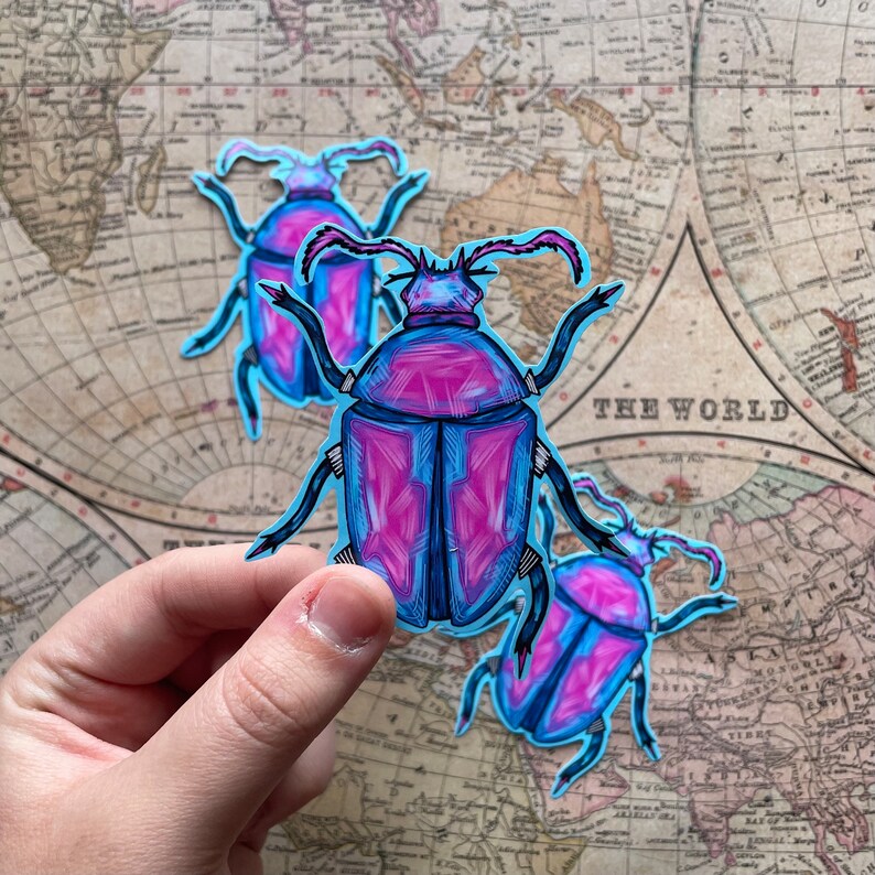 Colourful Beetle Sticker - Etsy