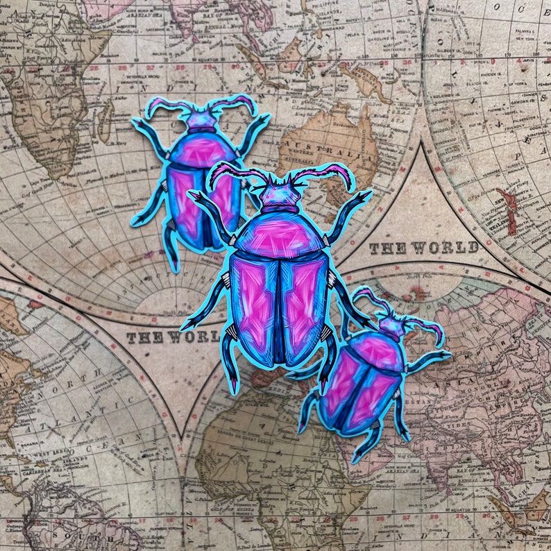 Colourful Beetle Sticker - Etsy