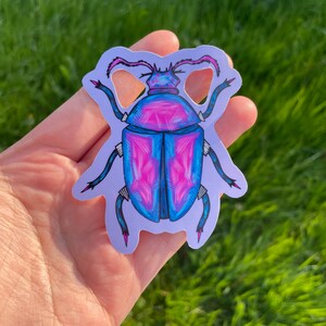 Colourful Beetle Sticker - Etsy