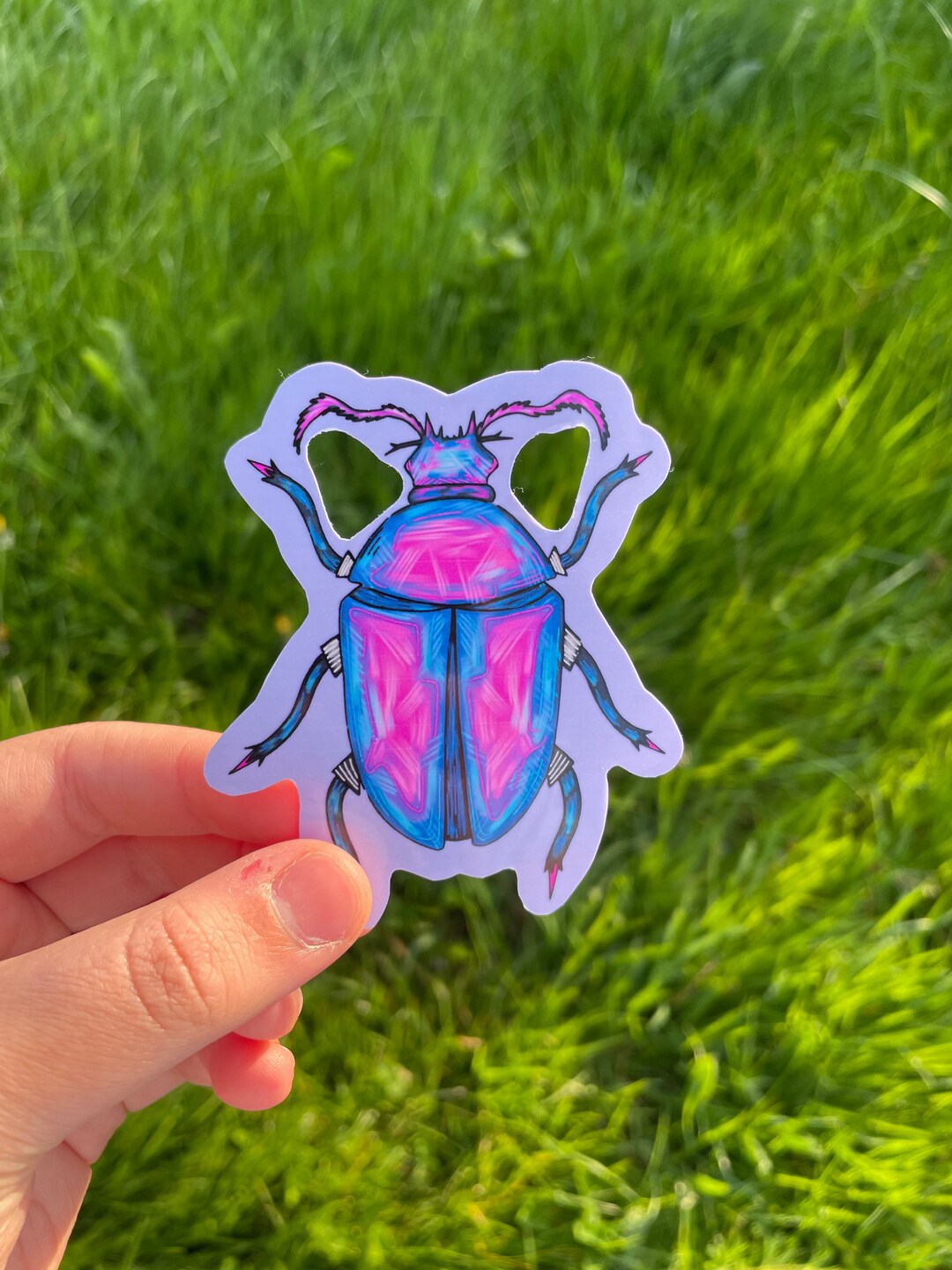 Colourful Beetle Sticker - Etsy