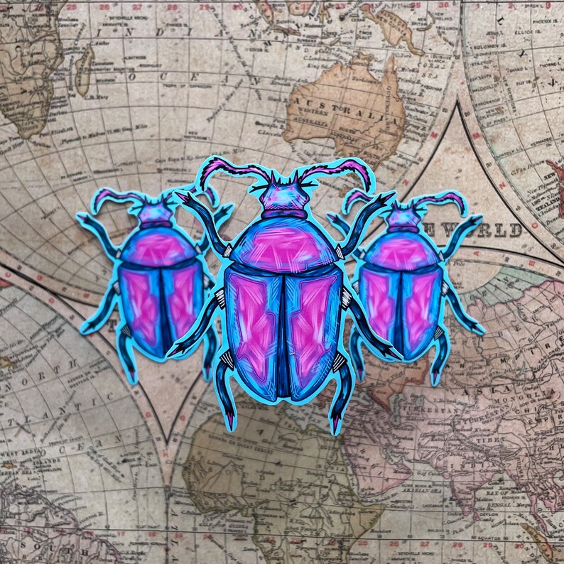Colourful Beetle Sticker - Etsy