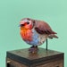 Spoils of Spring Automata. Oil Painted Mechanical Birds, Kinetic ...