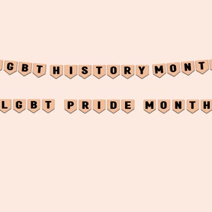 LGBTQ+, History Month, LGBT Pride Month, 25 Elementary Classroom ...