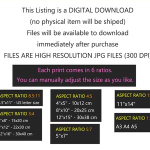 12 Famous Women in History Who Changed the World, Inspirational Quotes ...