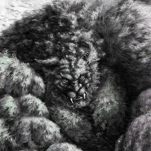 Werewolf Transformation Spell PERMANENT & REAL Shapeshifting | Etsy