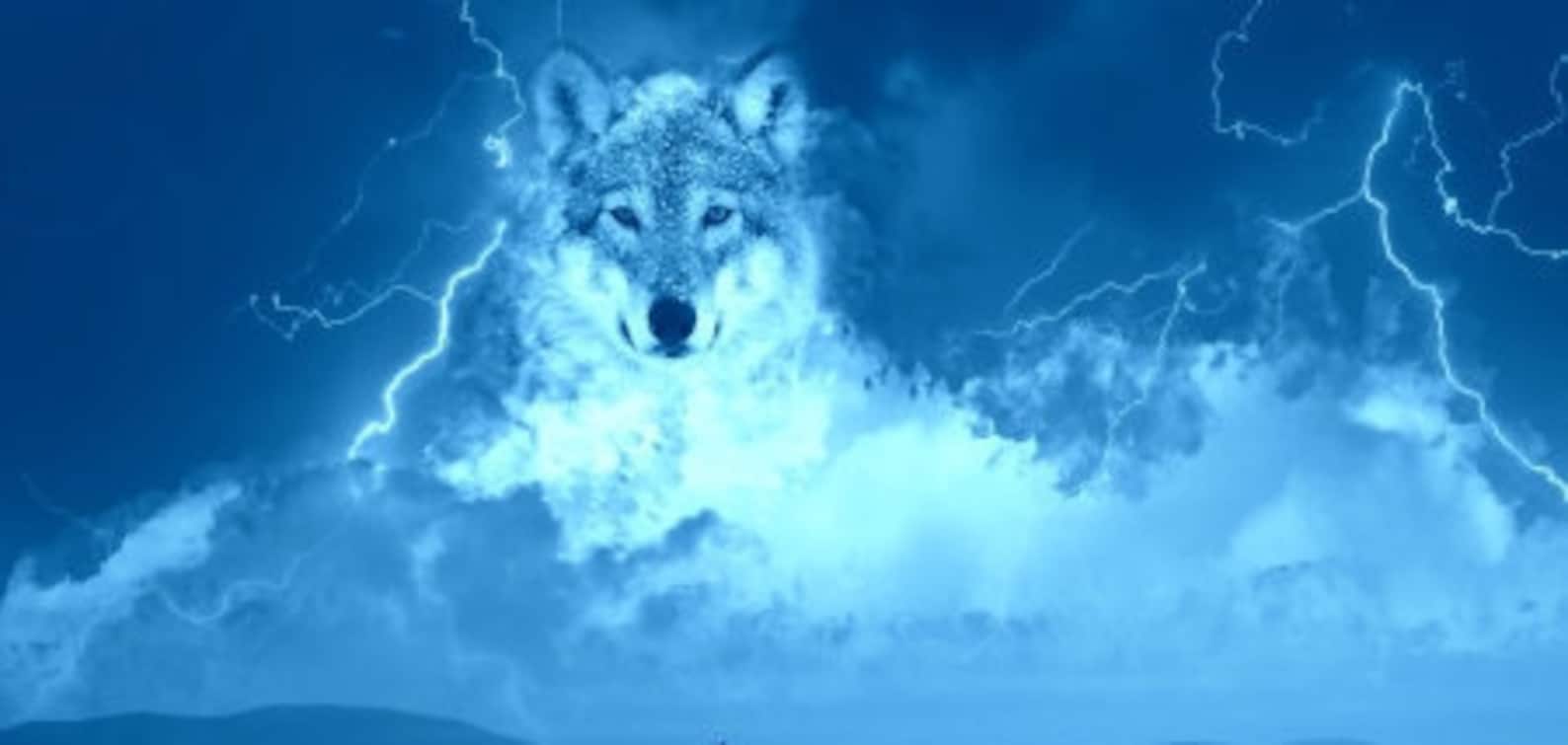 STORMWOLF Transformation Spell LIGHTNING Wolf Ritual REAL - Etsy