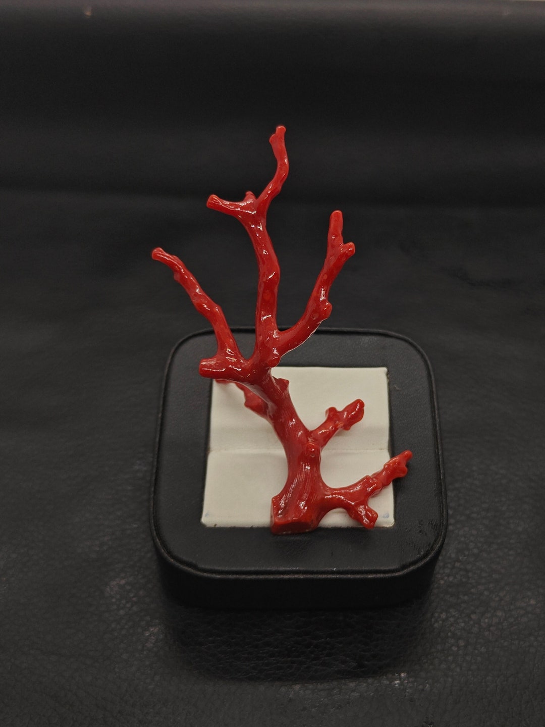 Antique Oxblood Red Coral Stick Tree-mediterranean Sea Coral Rough ...