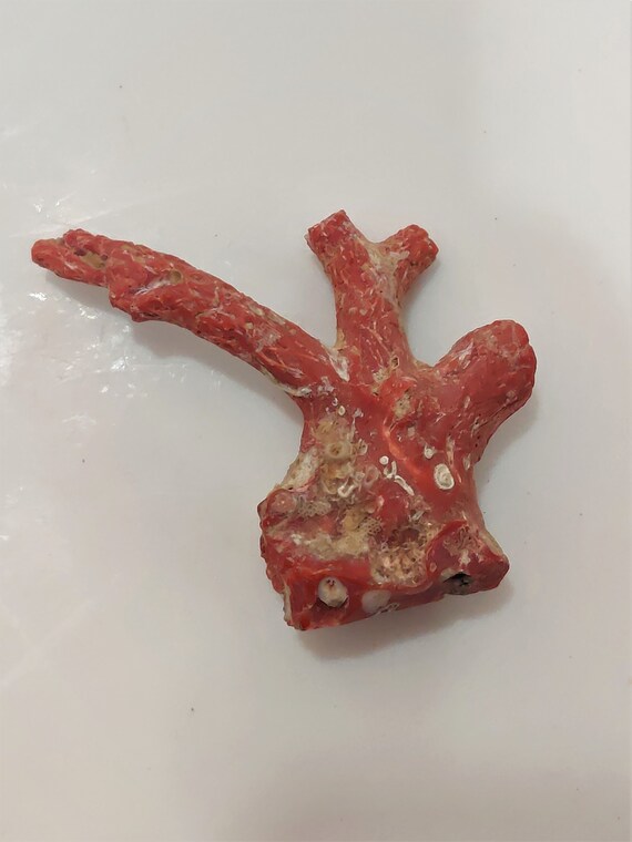 Vintage Natural Coral Stick CORAL ROUGH 100% Natural Italian - Etsy