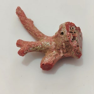 Vintage Natural Coral Stick CORAL ROUGH 100% Natural Italian - Etsy