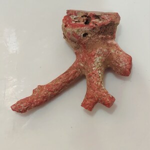Vintage Natural Coral Stick CORAL ROUGH 100% Natural Italian - Etsy