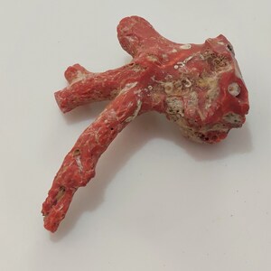 Vintage Natural Coral Stick CORAL ROUGH 100% Natural Italian - Etsy