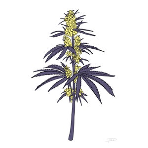 420 Coloring Page. Decor Download Art Print, Colorful , Weed Home Decor ...