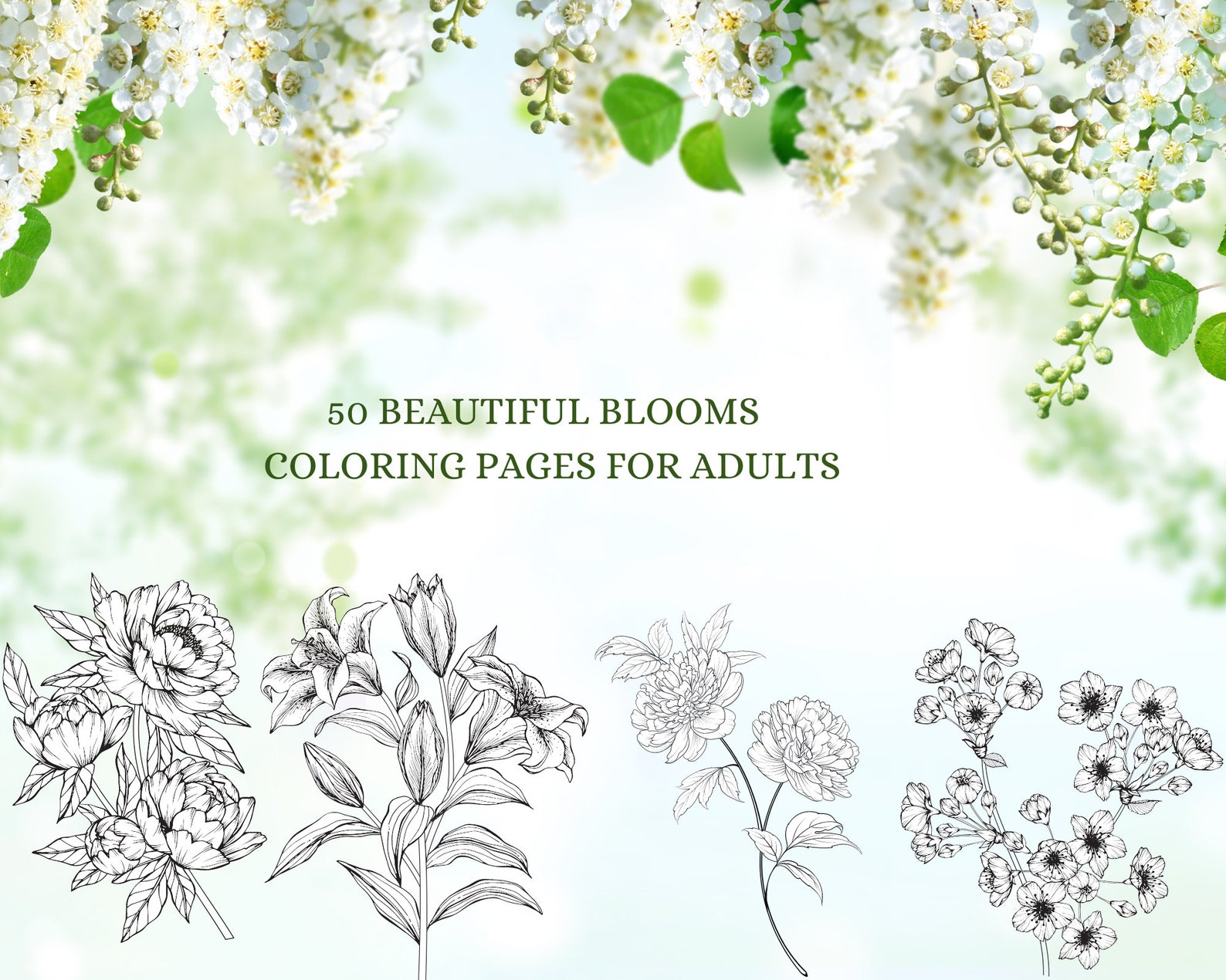 50 Beautiful Blooms Adult Coloring Pages of Flowers Printable PDF - Etsy