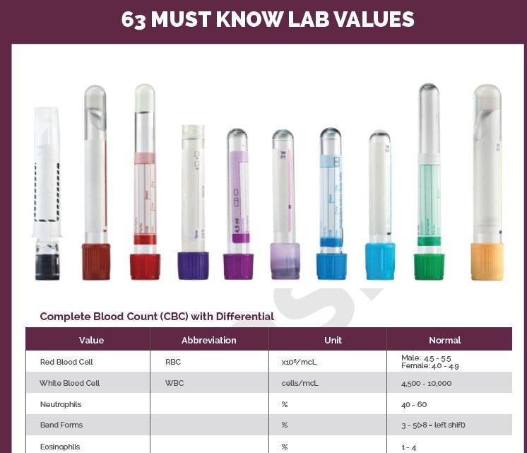 63 Must Know LABS for Clinicals (easy Printable Pdf) for Clinical ...