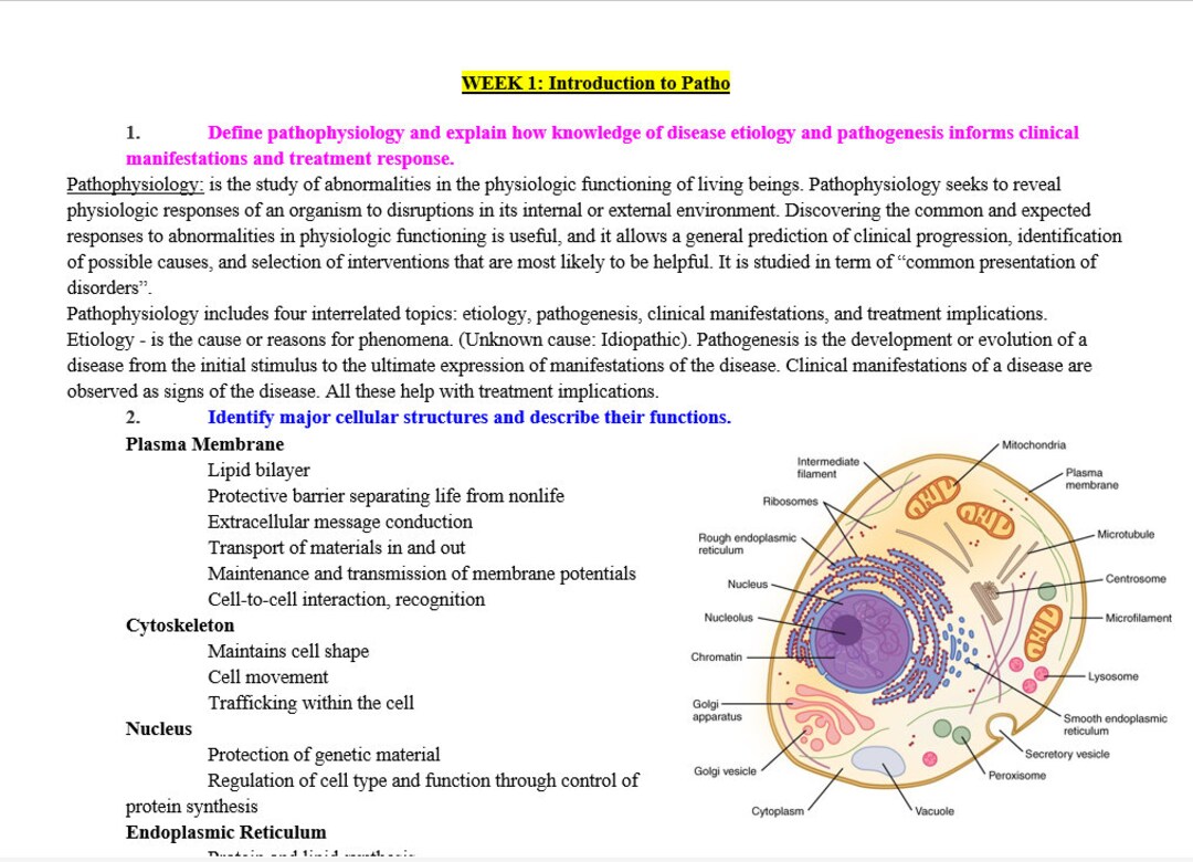 Pathophysiology Learning Objectives NP School - Etsy