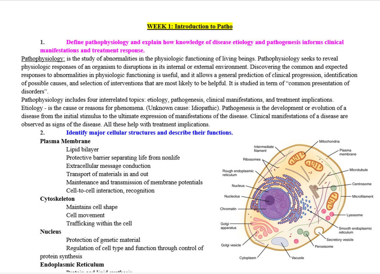 Pathophysiology Learning Objectives NP School - Etsy