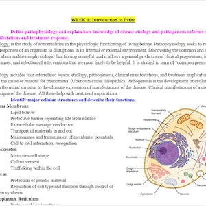 Fnp Pathophysiology - Etsy