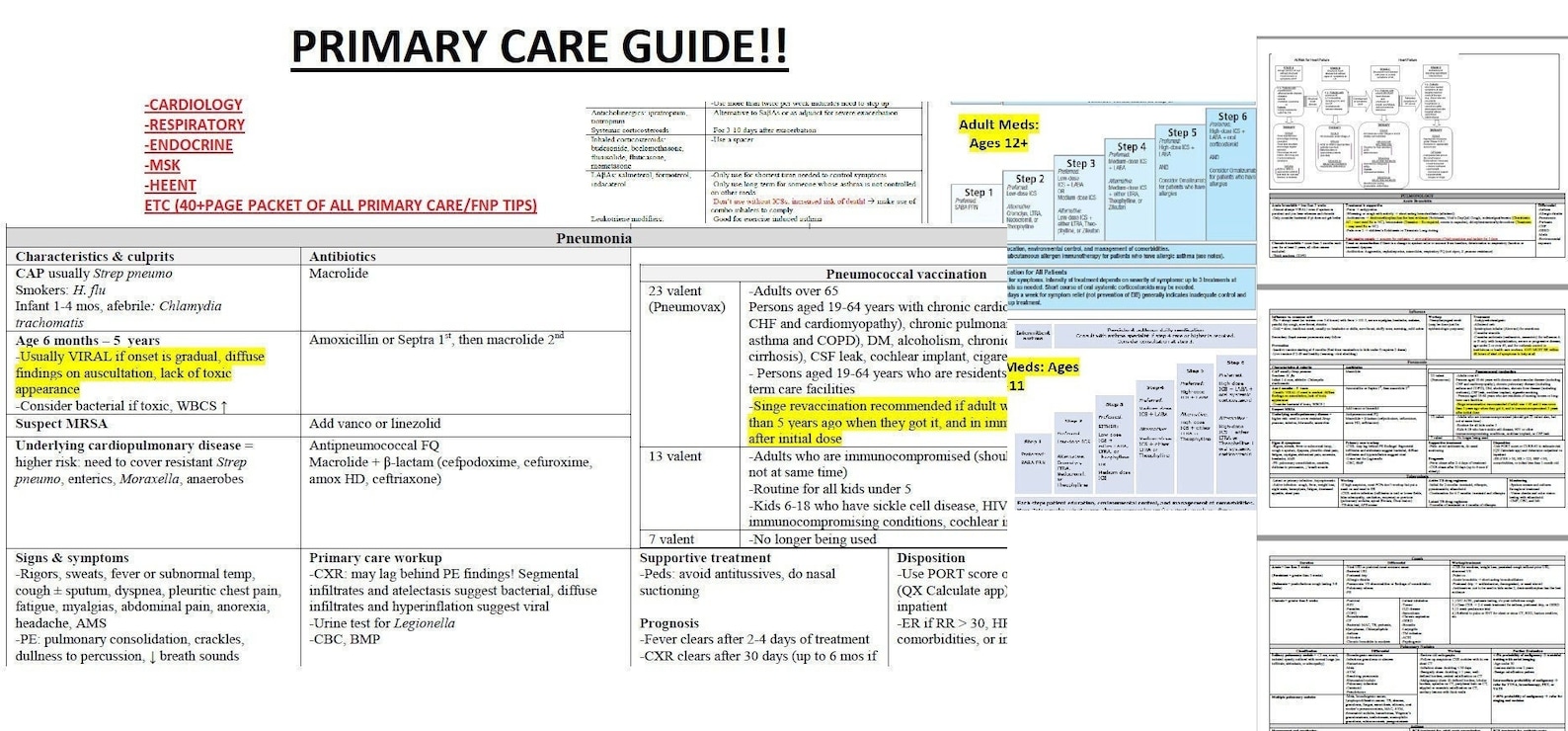 PRIMARY CARE GUIDE 40page Packet of All Organ System - Etsy