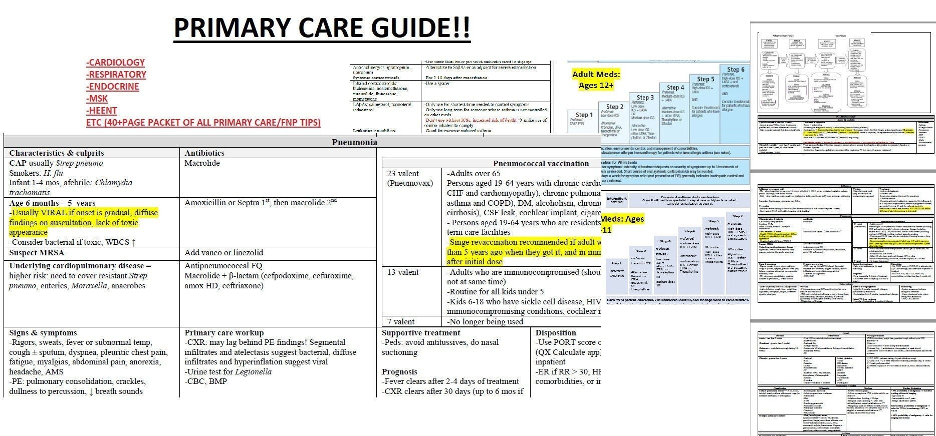 PRIMARY CARE GUIDE 40page Packet of All Organ System - Etsy
