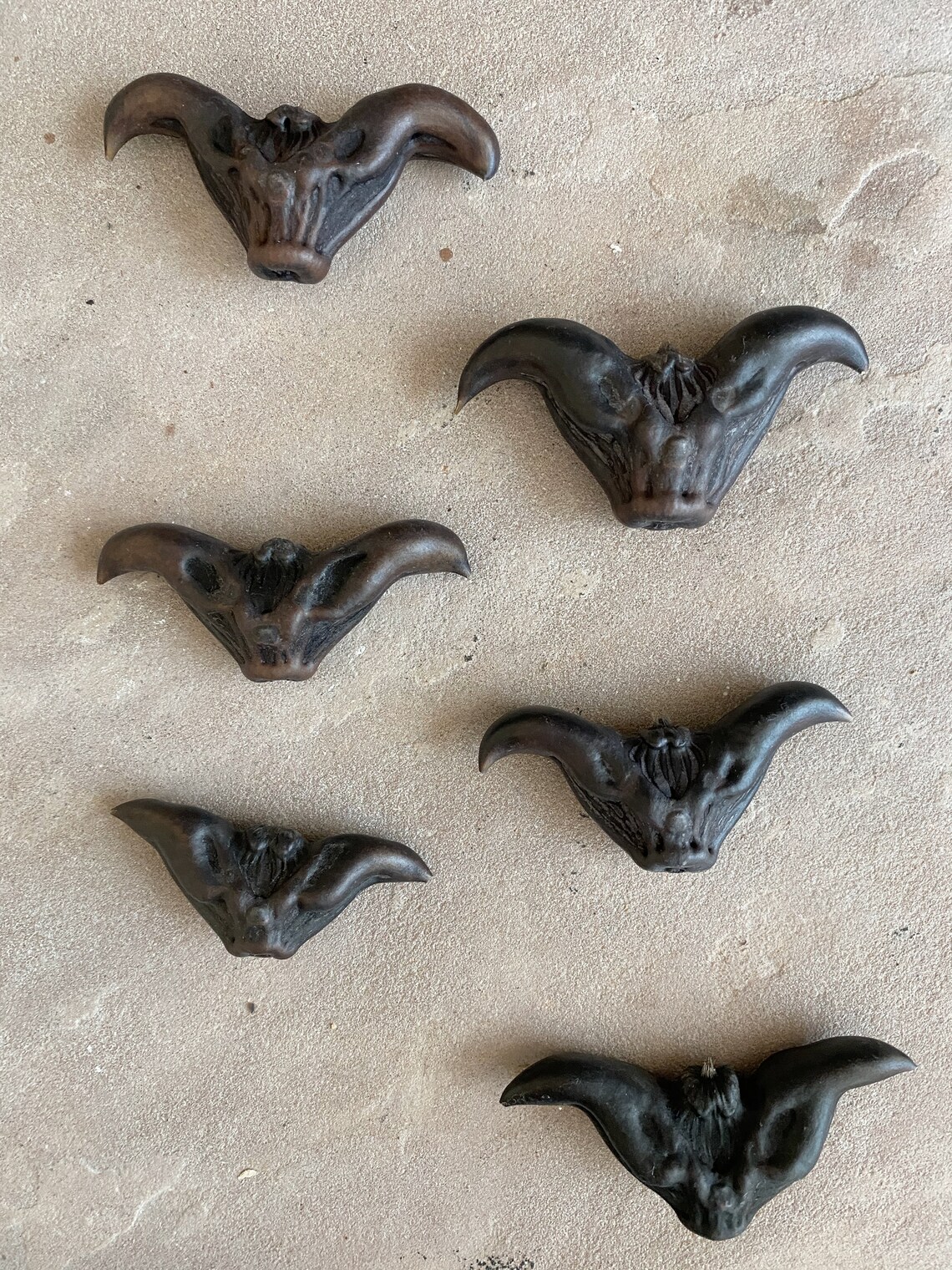 Freshly Harvested Bat Nuts | Devil Pod | Water Caltrops | Rare Exotic ...