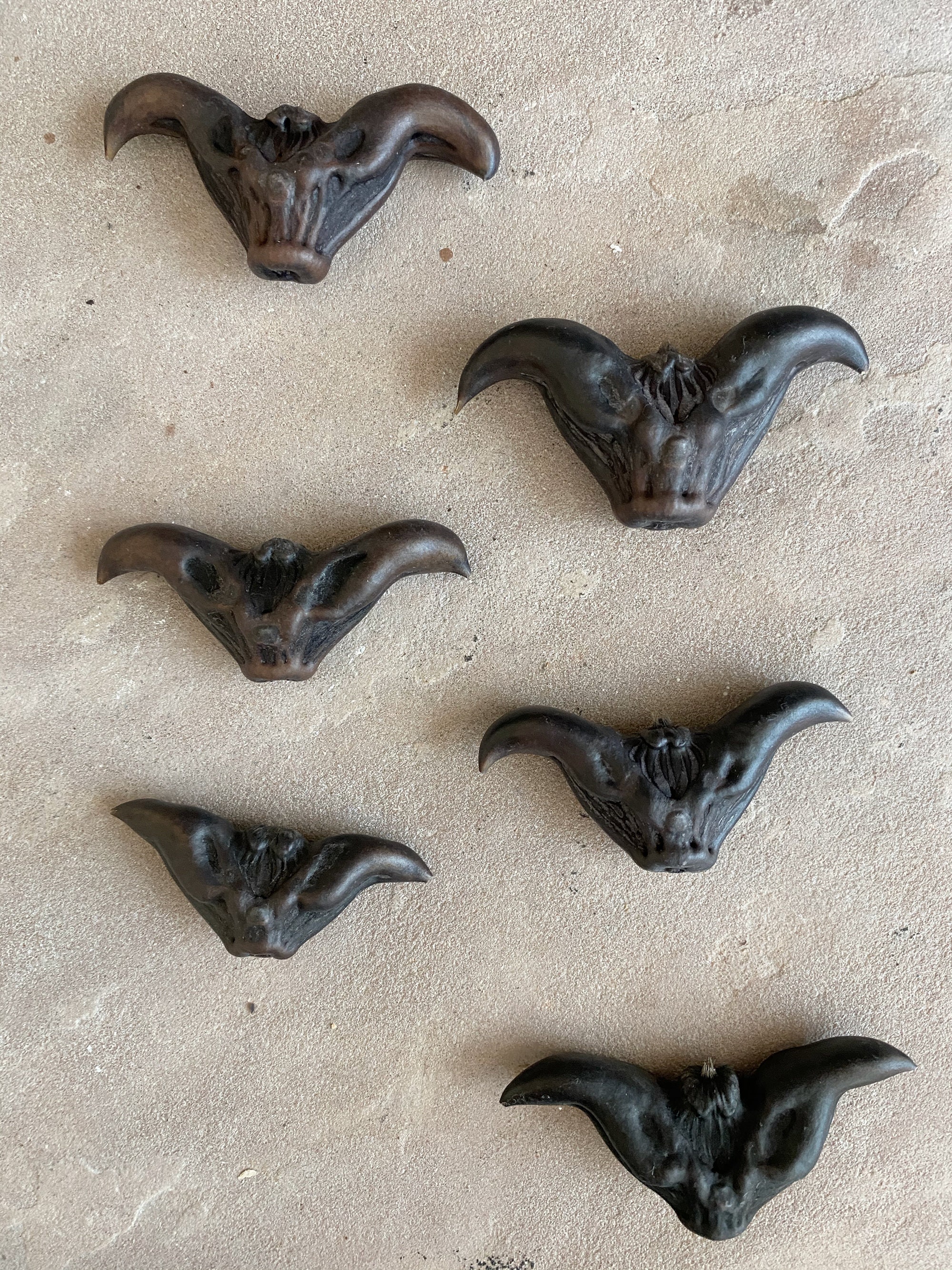 Fresh Devil Pods, Bat Nuts, Water Caltrops - Etsy