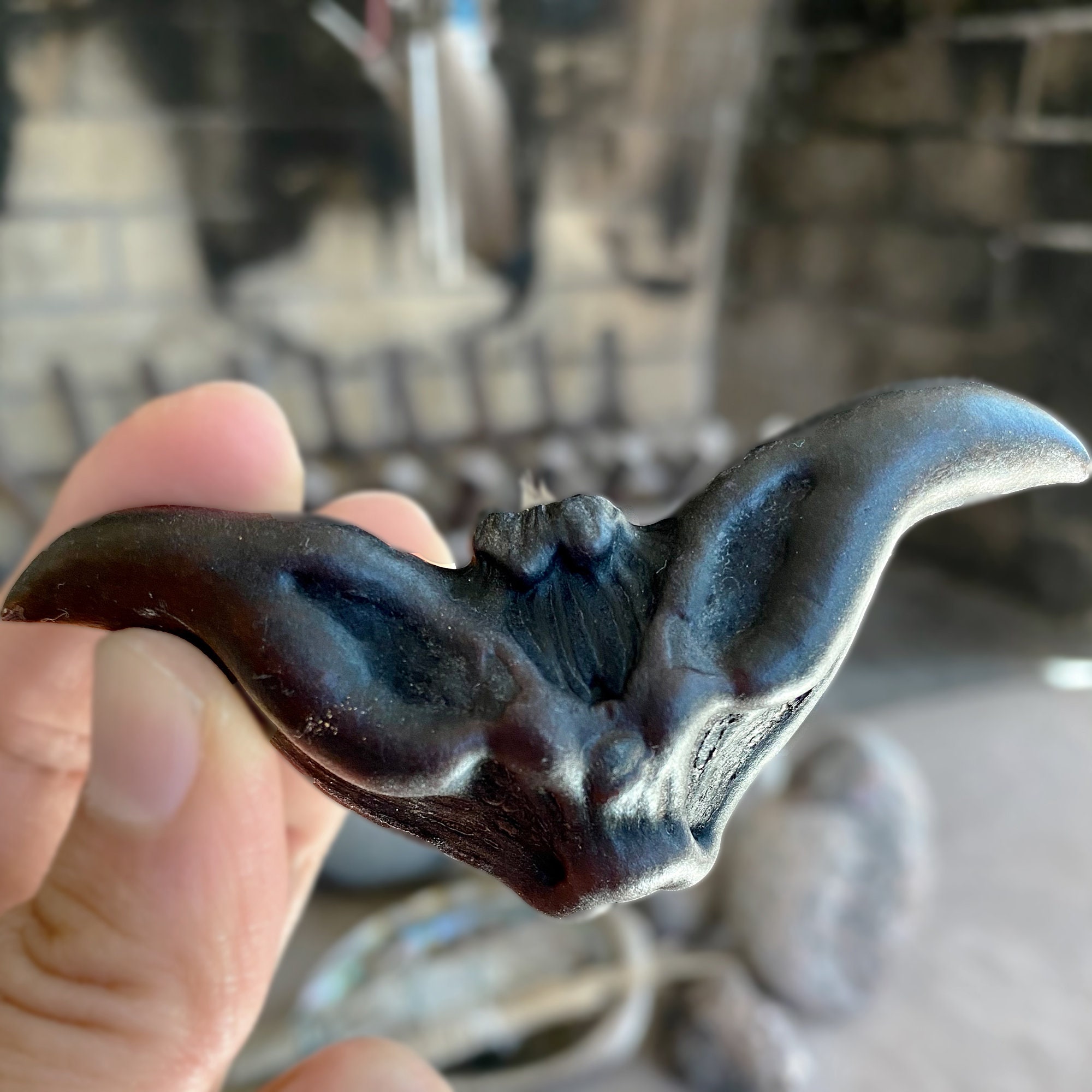 Fresh Devil Pods, Bat Nuts, Water Caltrops - Etsy