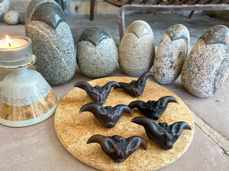 Fresh Devil Pods, Bat Nuts, Water Caltrops - Etsy