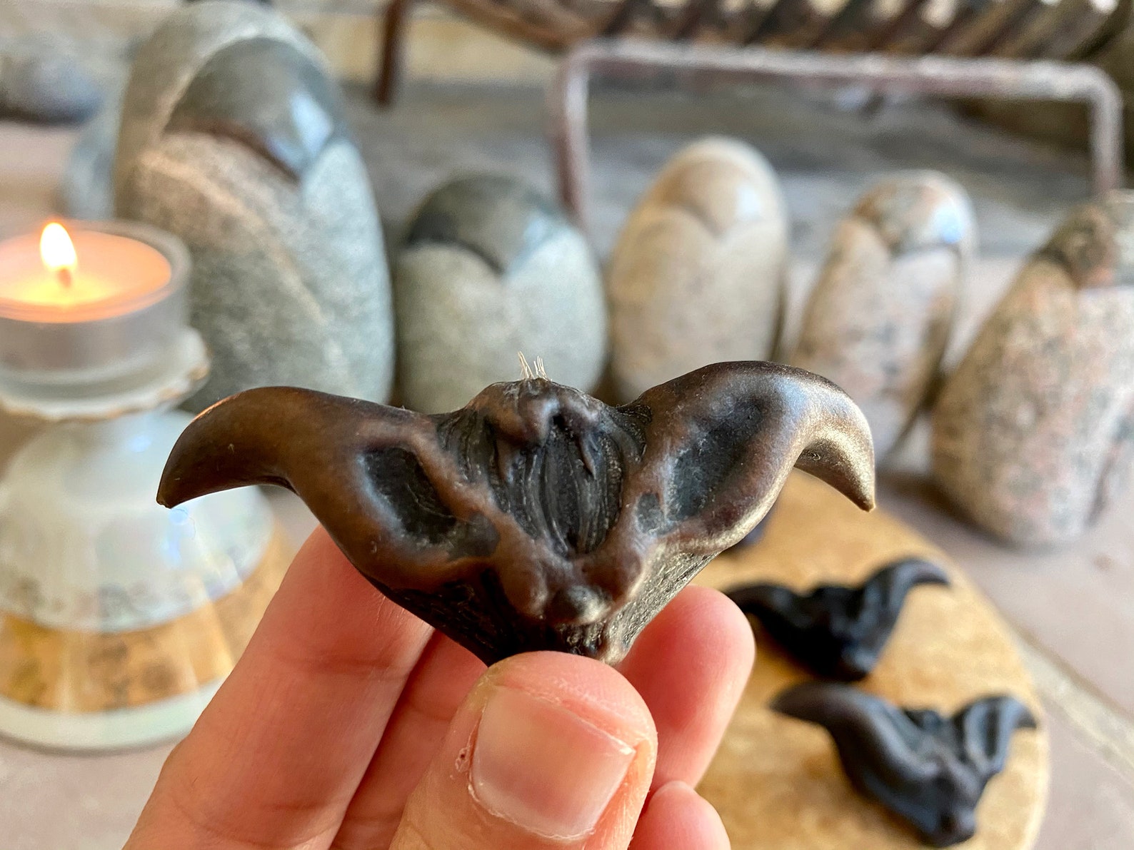 Fresh Devil Pods, Bat Nuts, Water Caltrops - Etsy