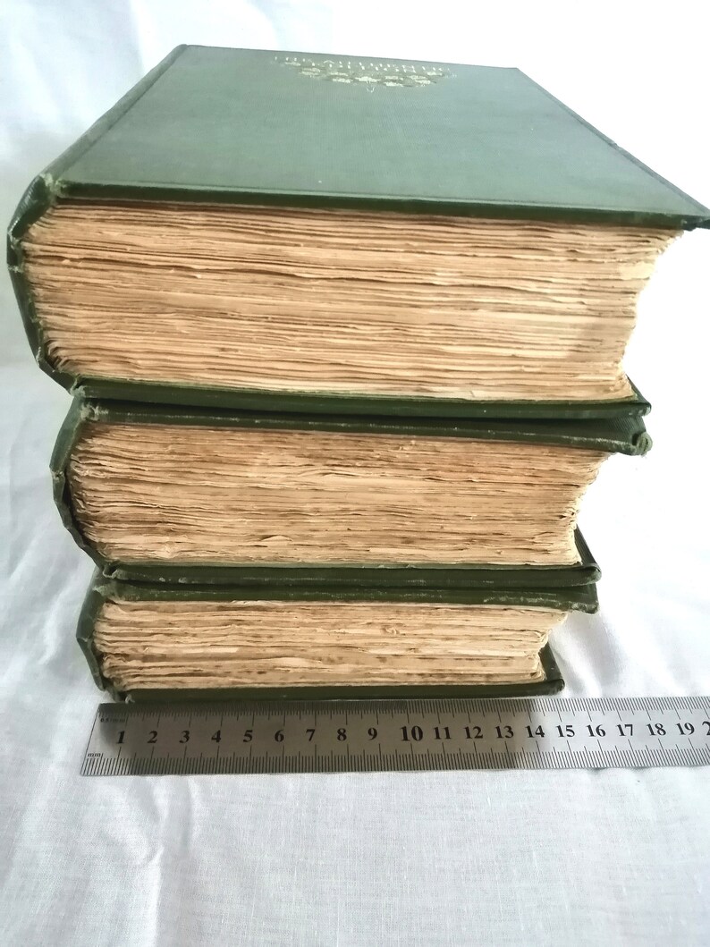 Charles Dickens Antique 1901 David Copperfield Nicholas Nickleby the ...