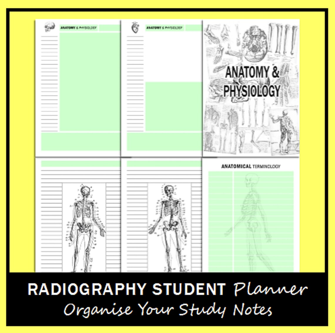 Radiography X-ray Study Planner Organiser Radiology Technologist Rad ...