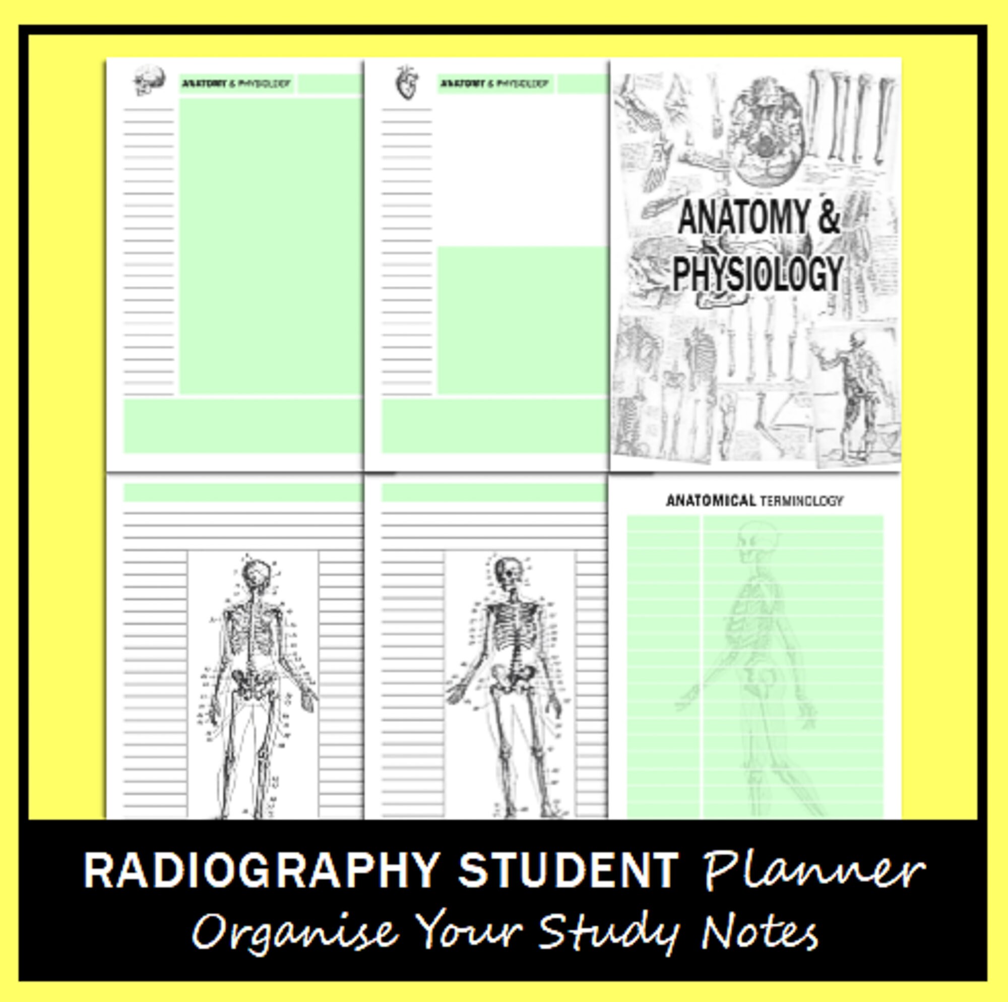 Radiography X-ray Study Planner Organiser Radiology Technologist Rad ...