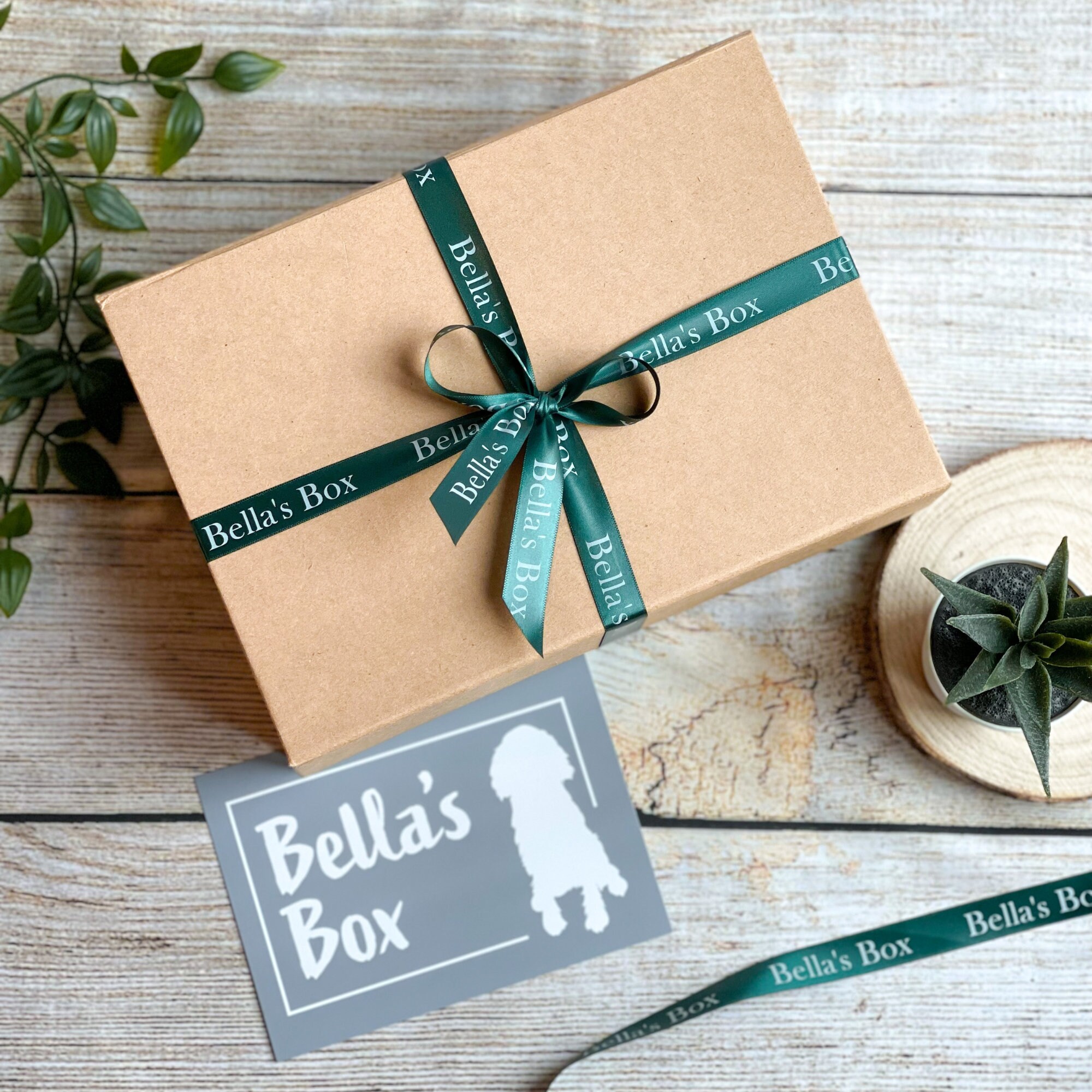 The Walk in Style Box Best in Show Edition // Dog Walking Gift Set ...