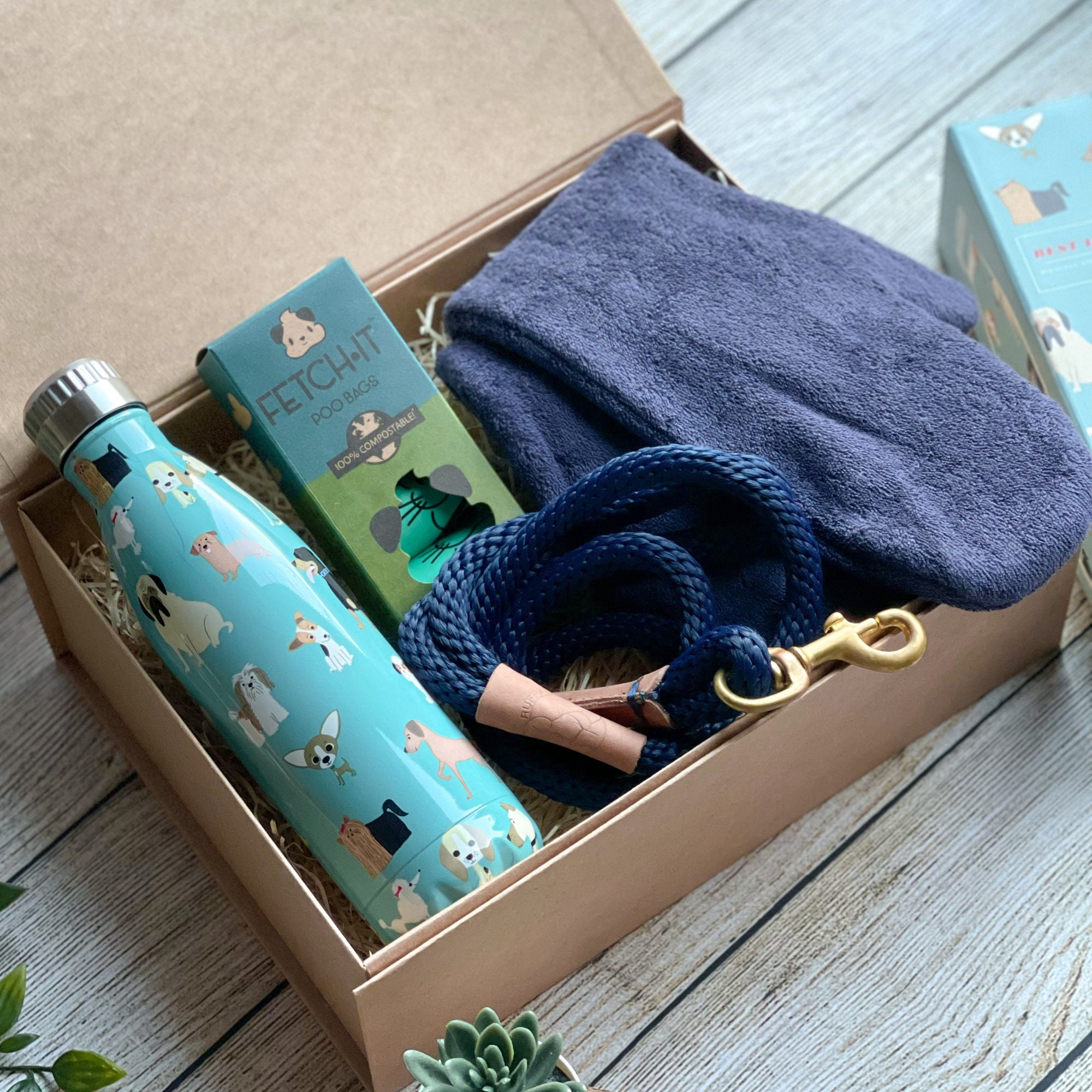 The Walk in Style Box Best in Show Edition // Dog Walking Gift Set ...