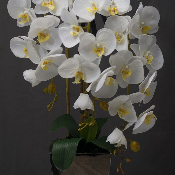 Real Touch Orchid - Etsy UK